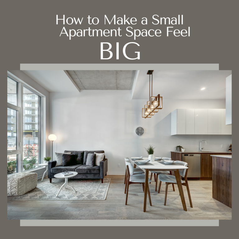 How To Make a Small Apartment Space Feel Big | Apartment Livinig